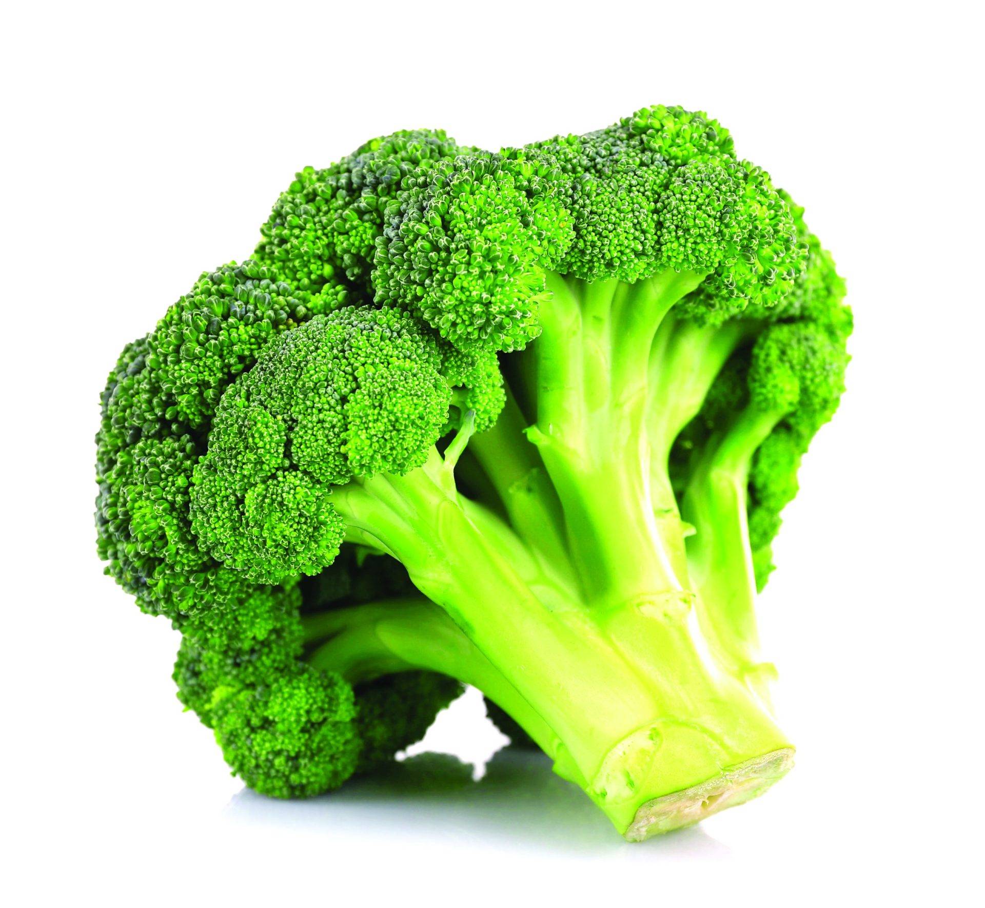 Broccoli-head | Academia Magazine