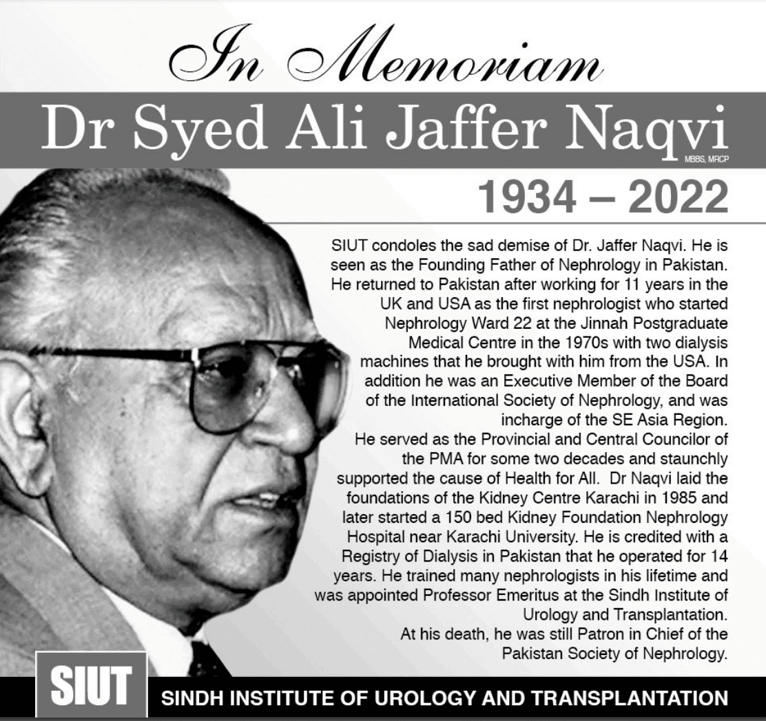 Meo | Academia Magazine