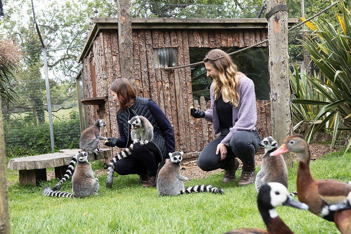 Exploring The Benefits Of Studying Zoology | Academia Magazine