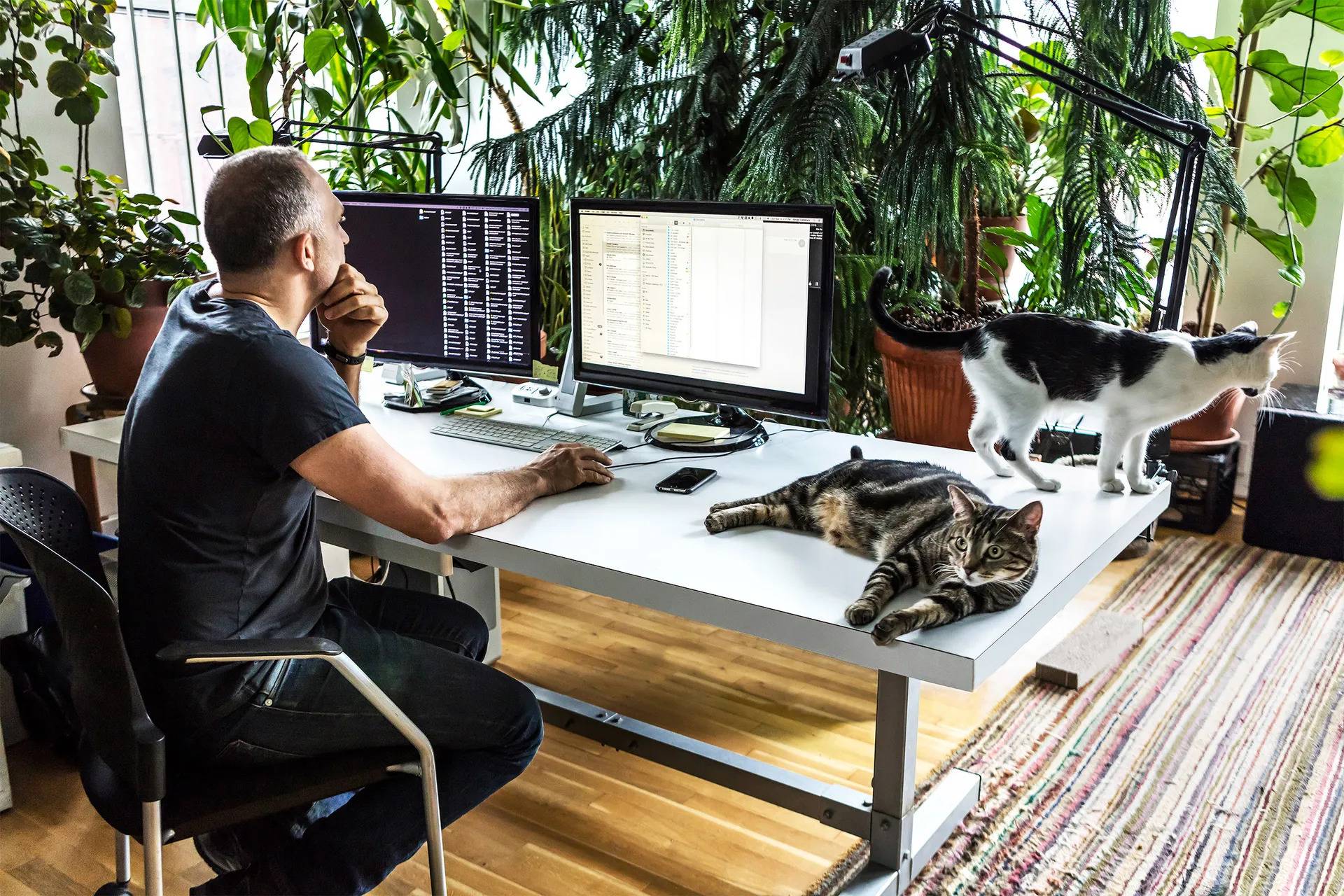 Best Remote Jobs In The World In 2024 | Academia Magazine